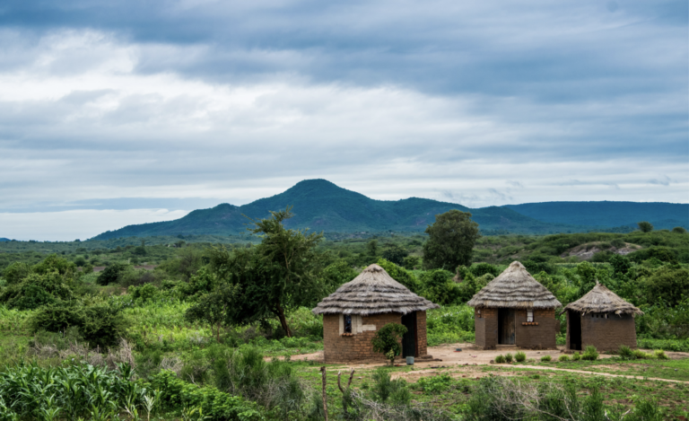 Latest Developments on Land Tenure Reforms in Zimbabwe – SIVIO Connect